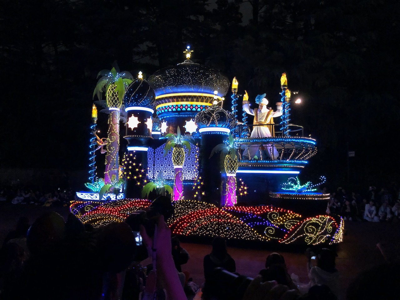 Tokyo Disneyland and DisneySea - Brad Fitzgerald